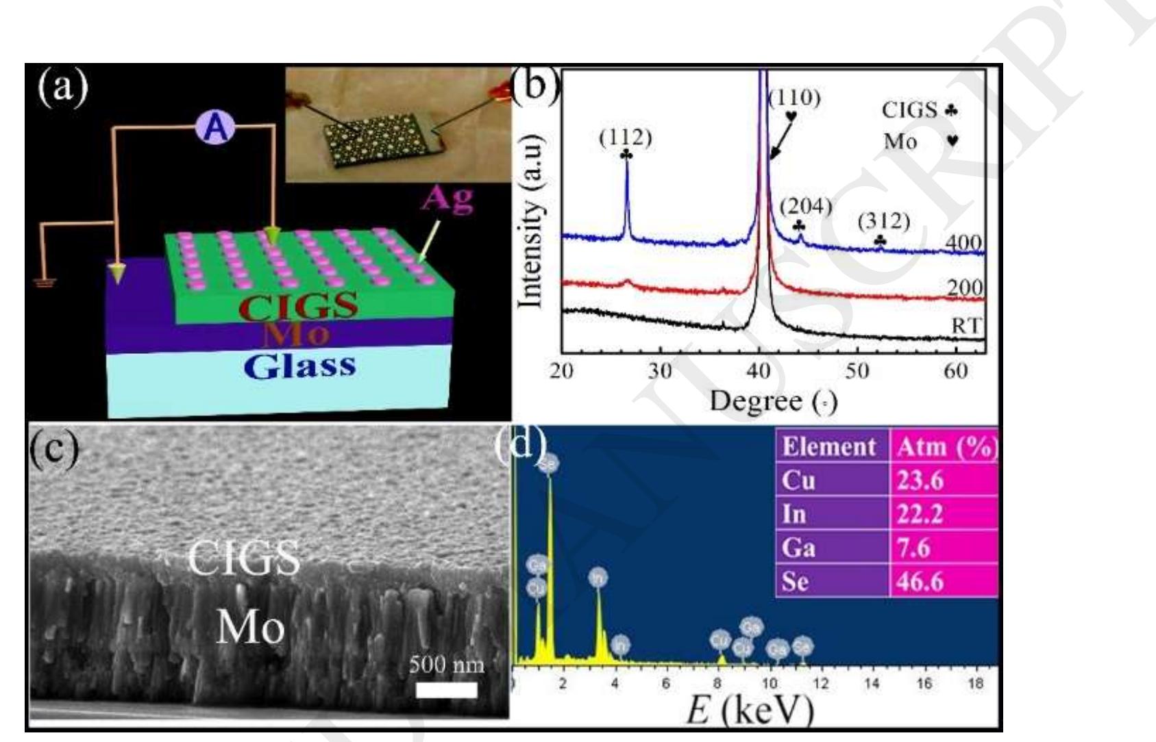 (a) the structure diagram and the photograph image of the