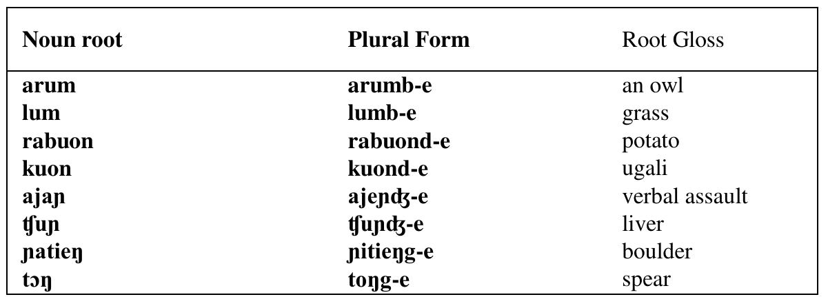 Nasal final noun roots with the [-e] plural allomorph it