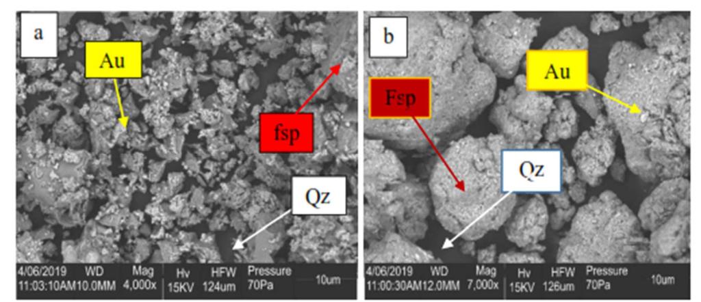 Scanning electron micrograph of plate 3a and 3b of iperind