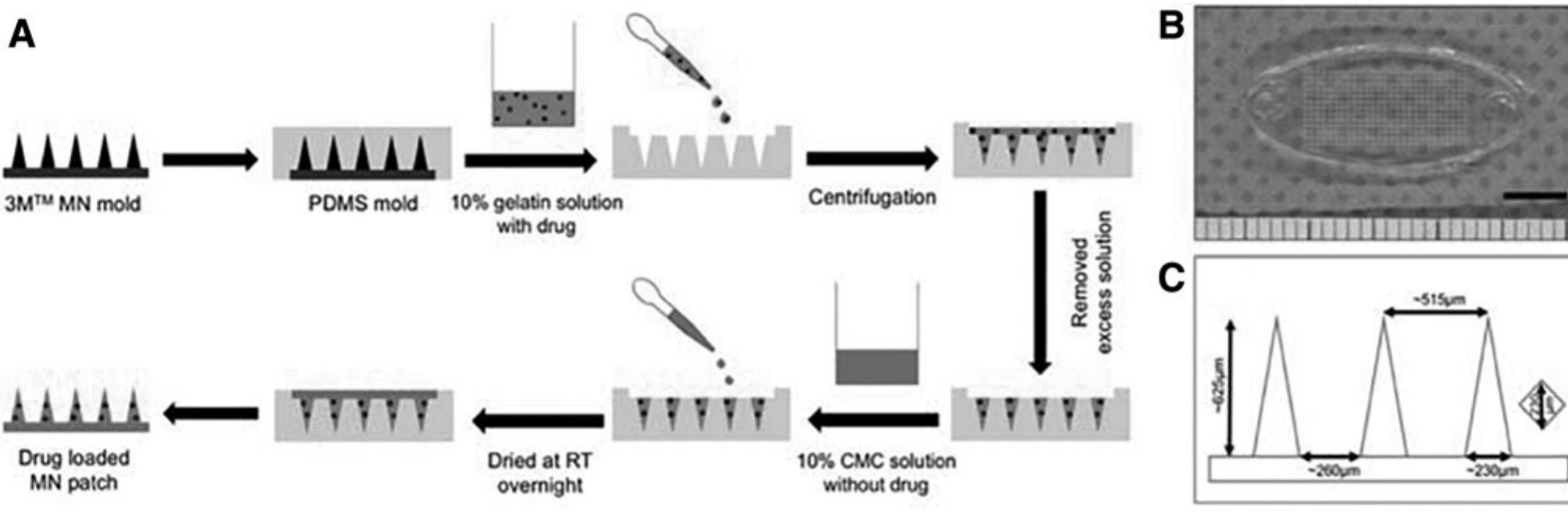 (a) schematics of the fabrication process of dissolving (a) schematics of the fabrication process of dissolving