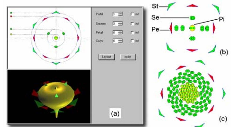 A snapshot of the floral diagram editor (a) and examples of