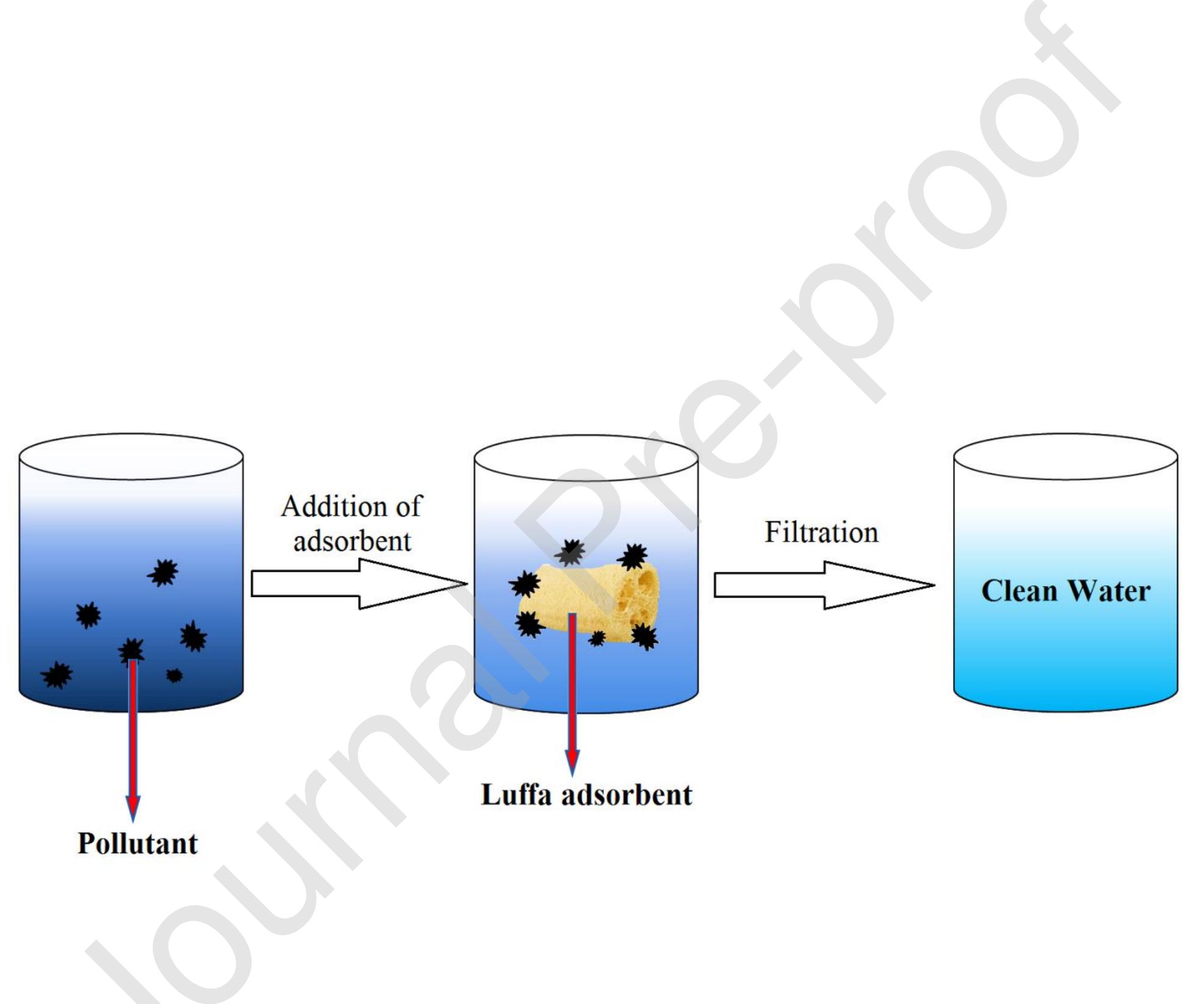 Schematic diagram of batch sorption by means of luffa and