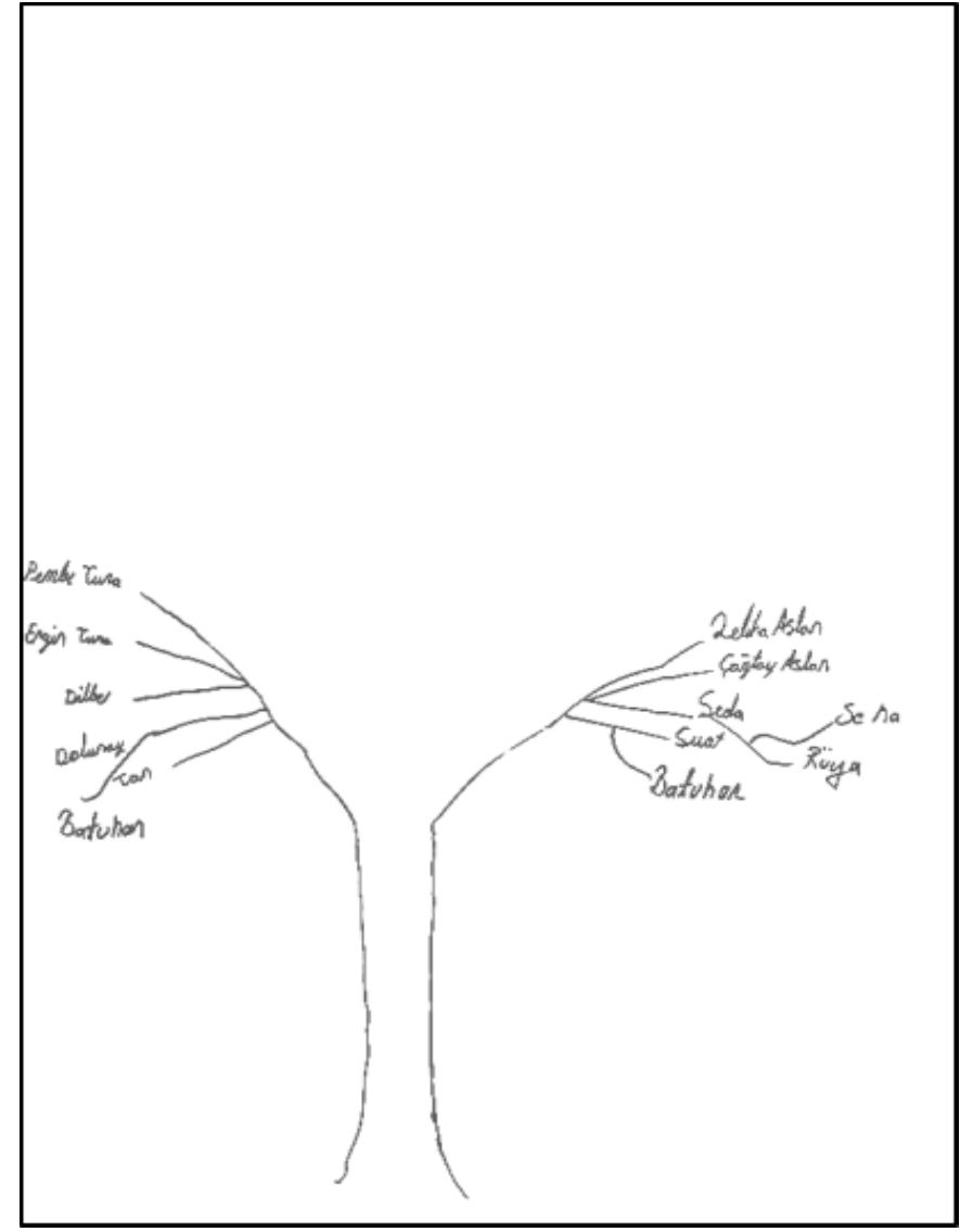 Drawing of family tree in his family tree drawing b.