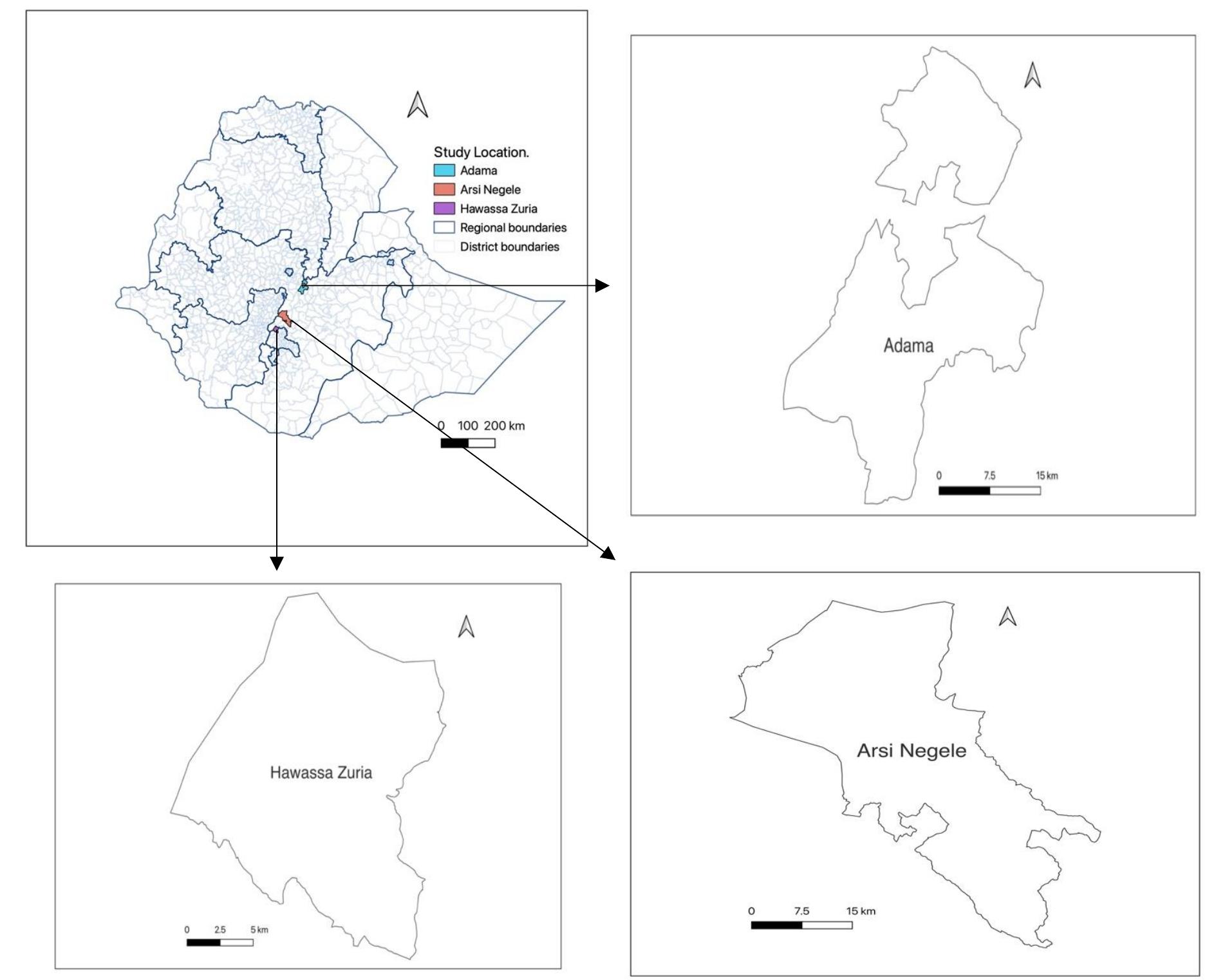 Map of study areas, adama, arsi negele, and hawassa zuria in