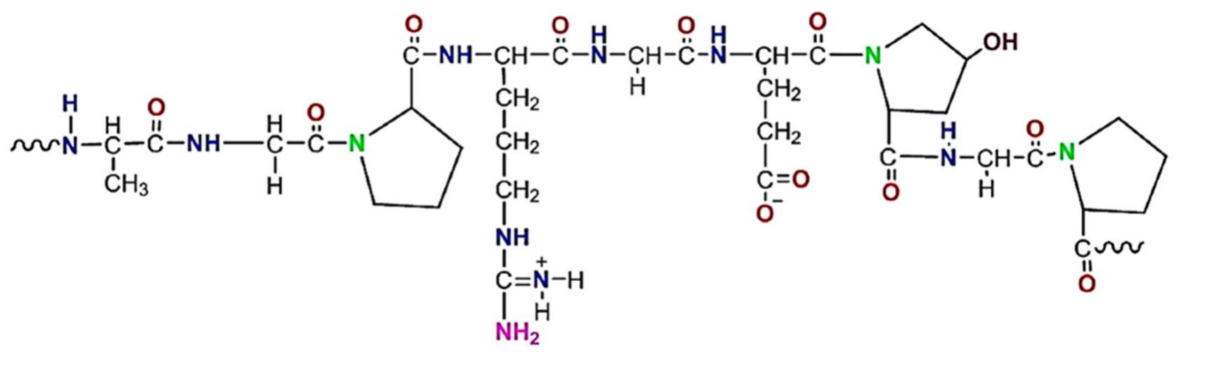 Figure 1 - from Characterization and Development of Gelatin