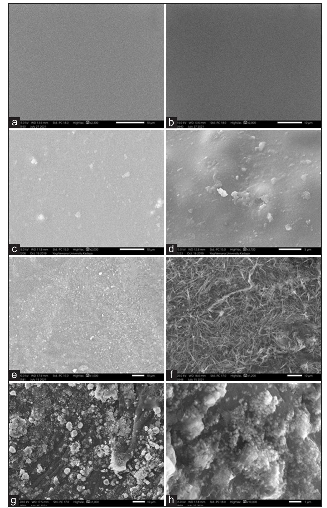 Scanning electron microscope images of nacmc- g-amps-pva