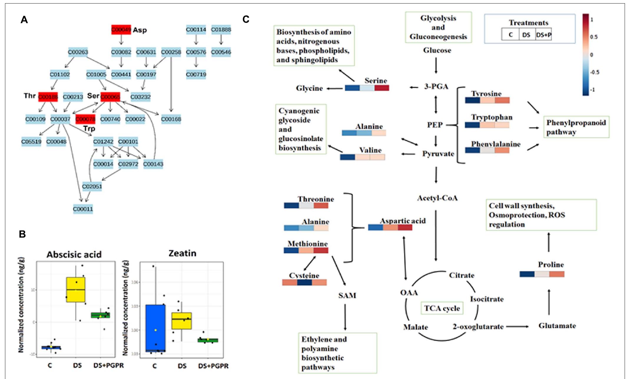 | metabolic pathway analysis and mapping. (a) topology map