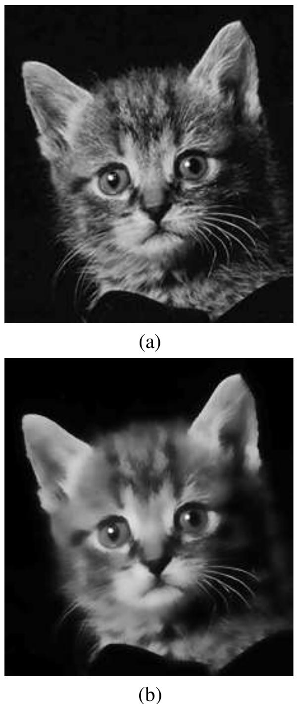 (PDF) Bilateral filtering for gray and color images