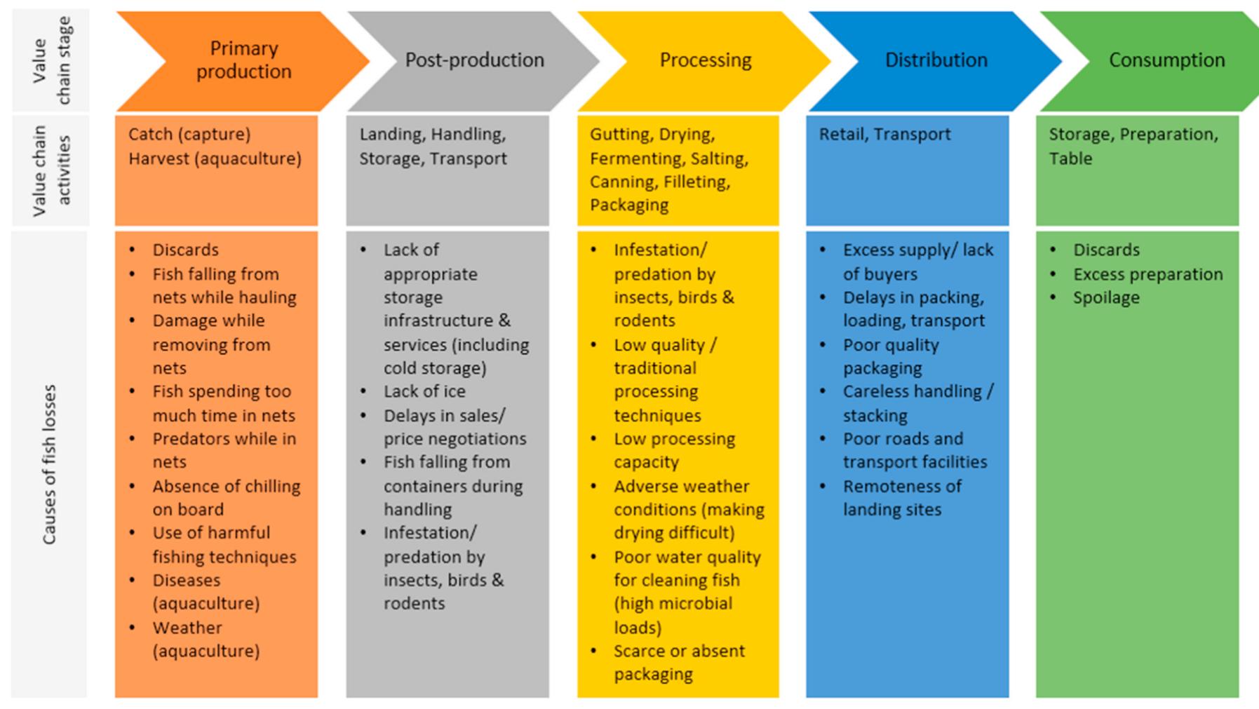 Fish loss and waste along the value chain: stages and