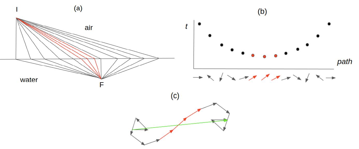 (a) possible pathways connecting the light detection point f