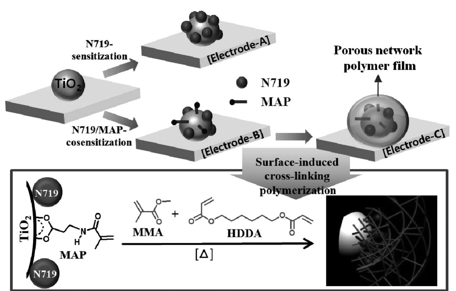 Schematic illustration showing the preparation of