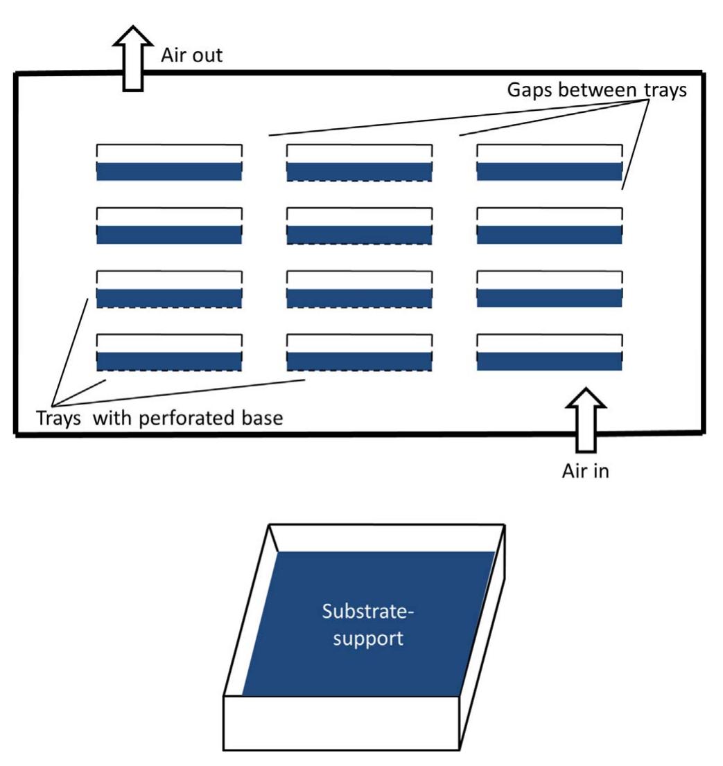 Schematic diagram of a tray bioreactor and for an individual