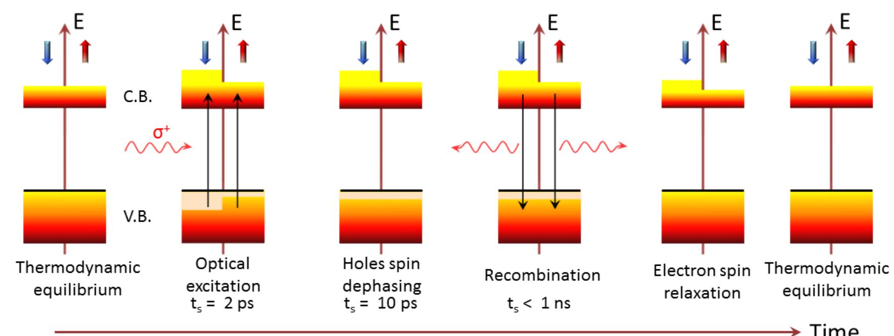 13: schematic representation of the mechanism for optical