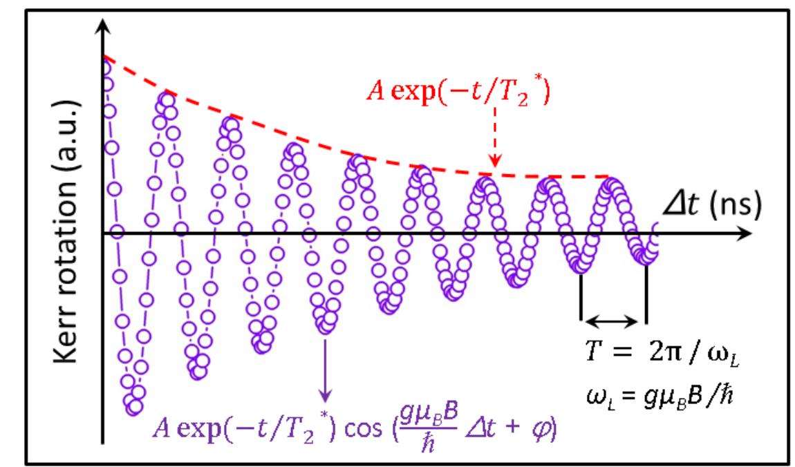 6: schematic curve of time-resolved kerr rotation with kerr