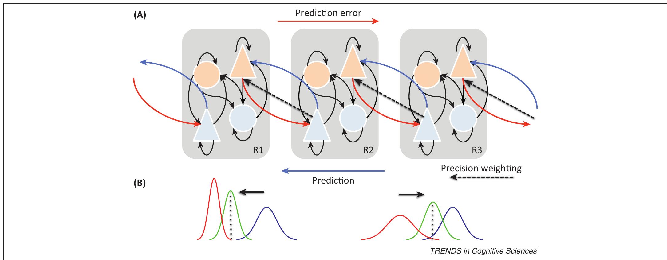 Functional architecture of predictive coding. (a) a