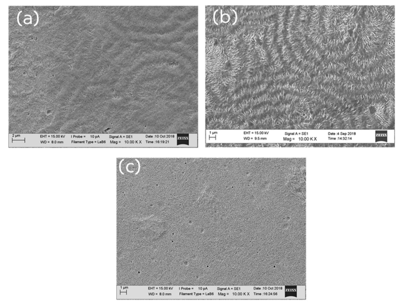 Sem images of neat hdpe-2 surface after etching for (a) 3 h