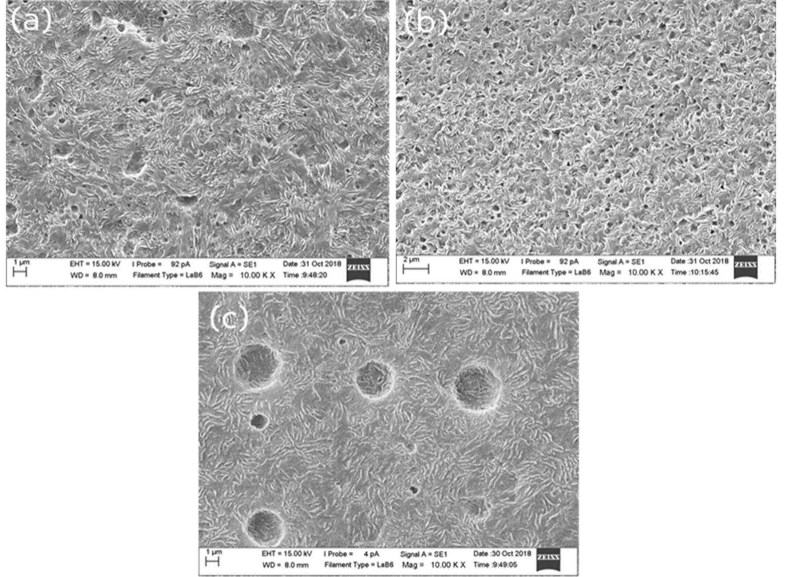 Sem of acid etched surfaces of hdpe-2 incorporated with (a)
