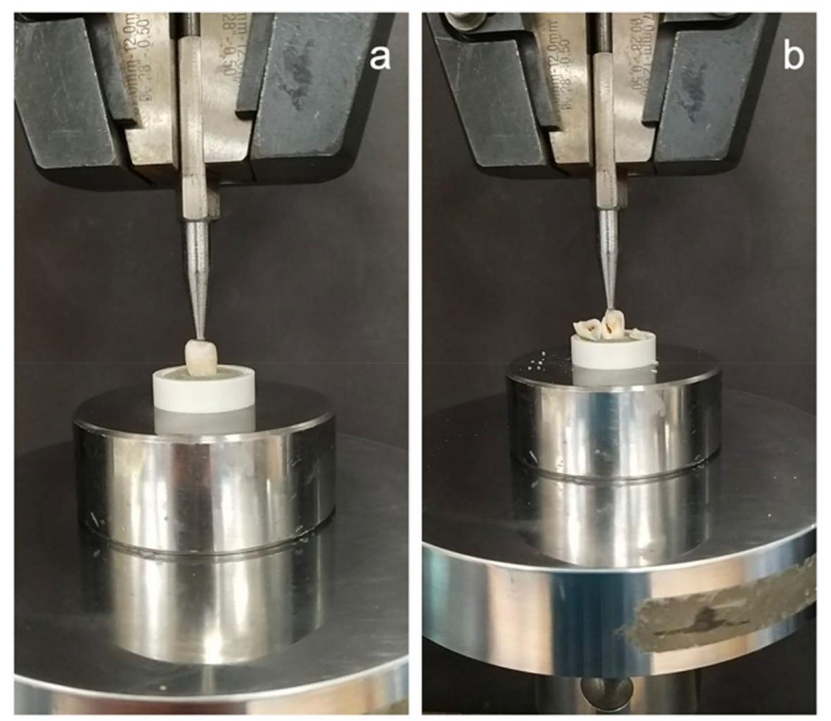 (a) the specimen was subjected to an axial compressive load