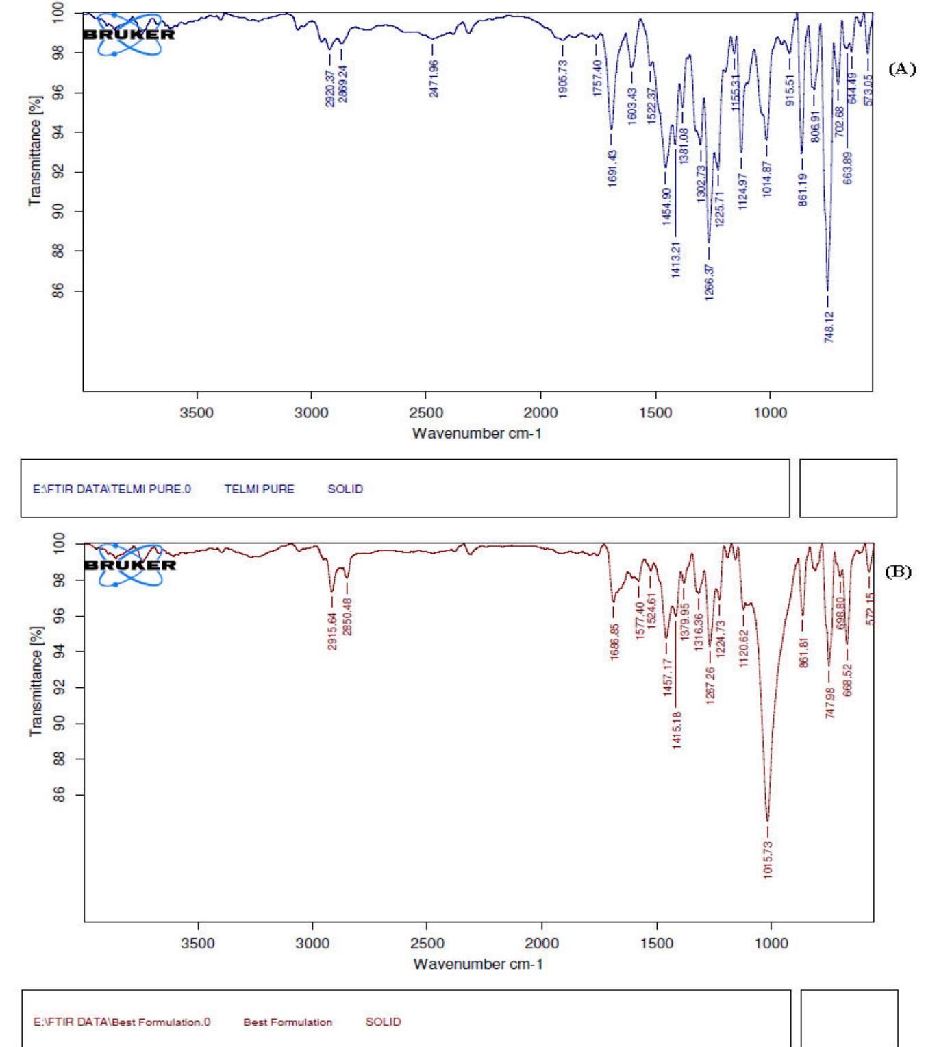 Figure 1 - from Fabrication and in Vitro Characterization of