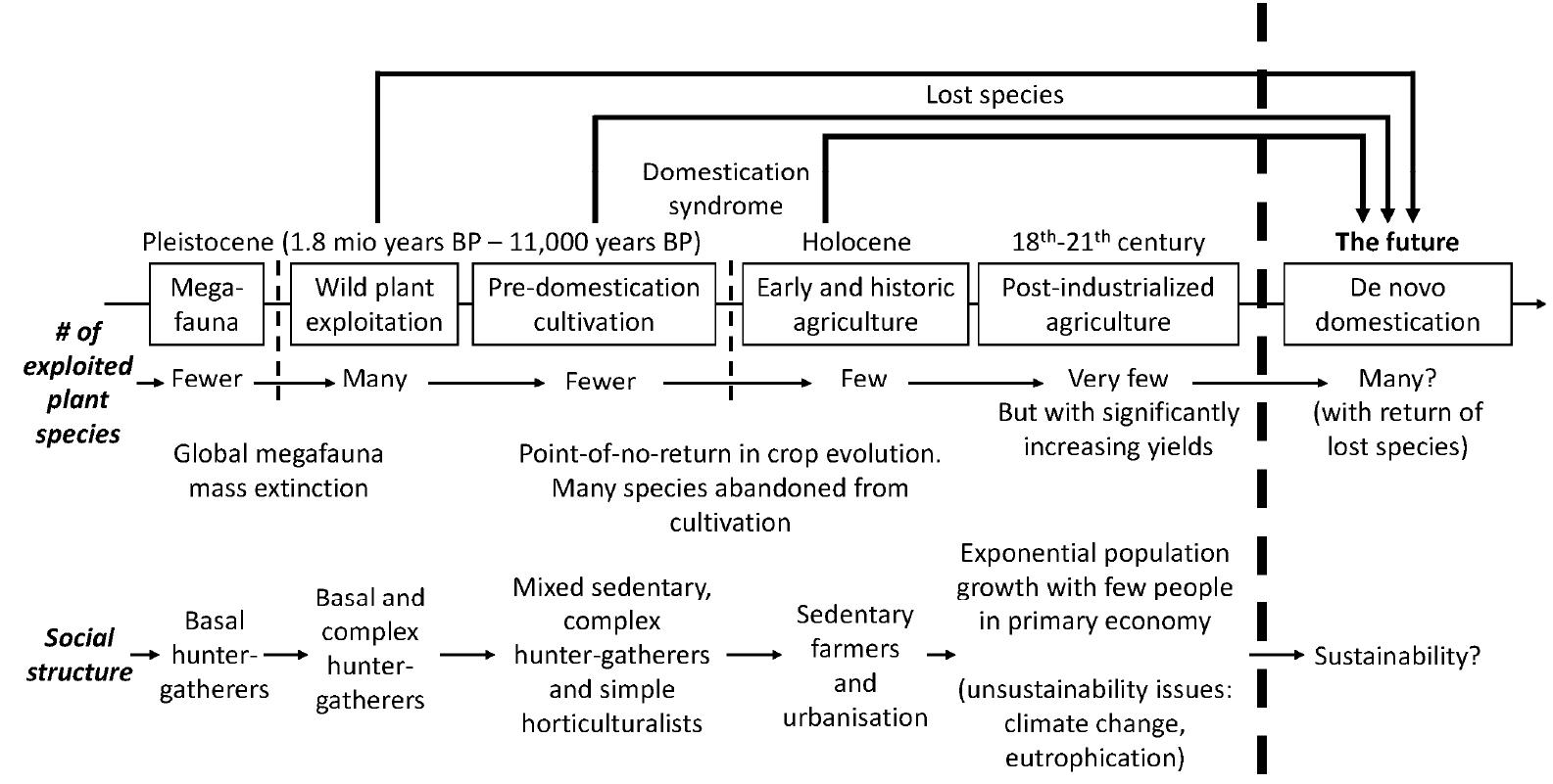 Human exploitation of plant species from the pleistocene to