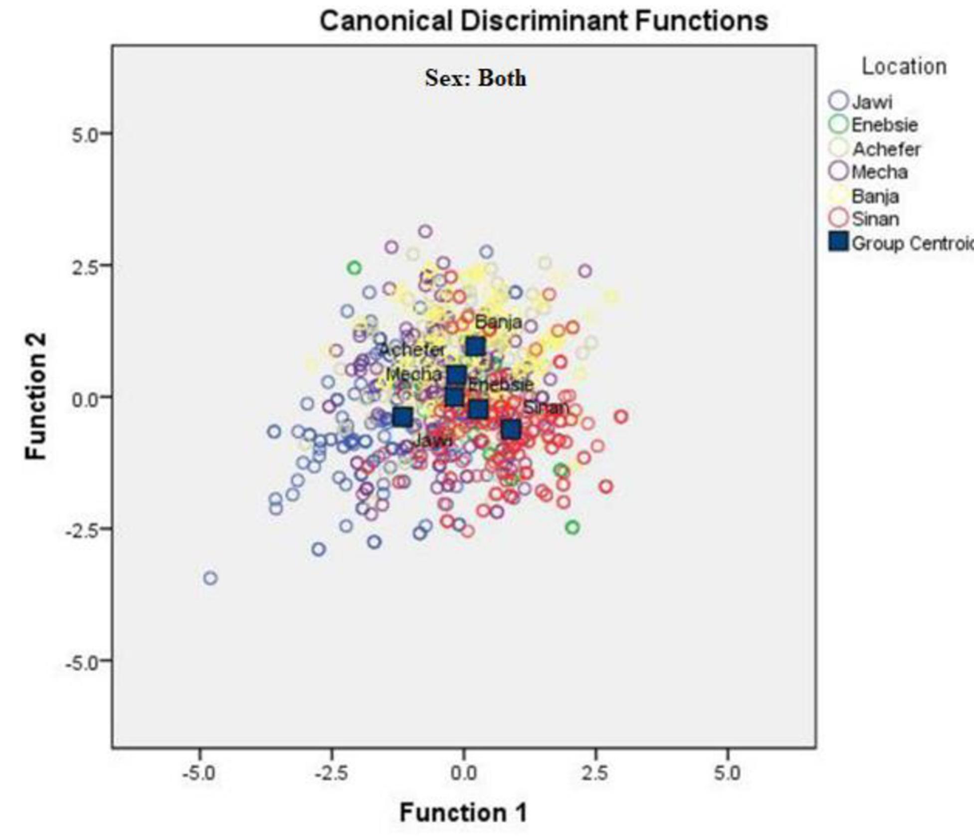 Discriminant function territorial map of morphometric