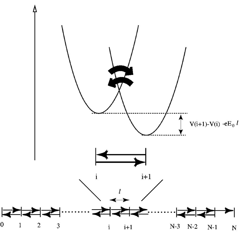 Schematic representation of our theoretical model of