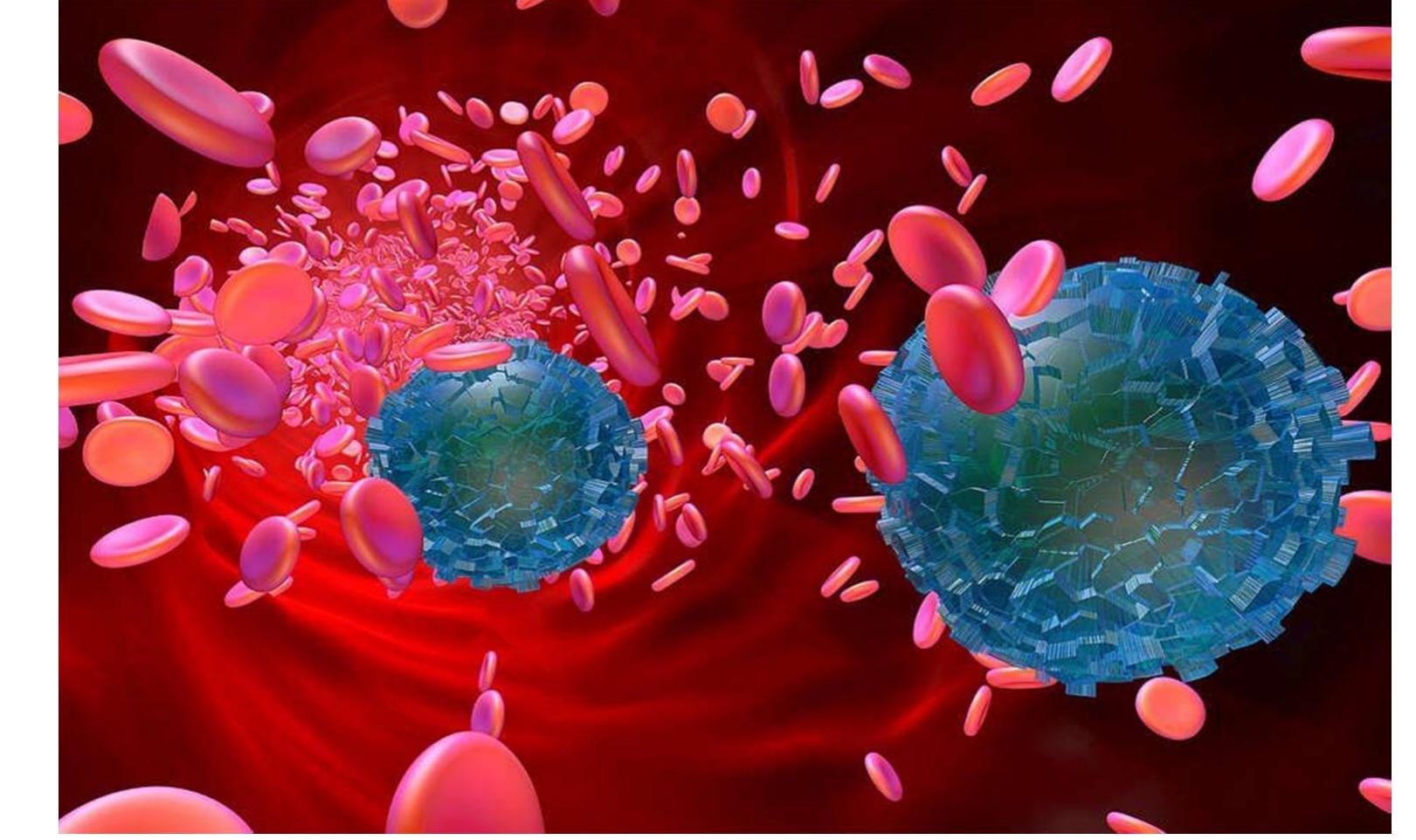 Microplastics particles in human blood according to the