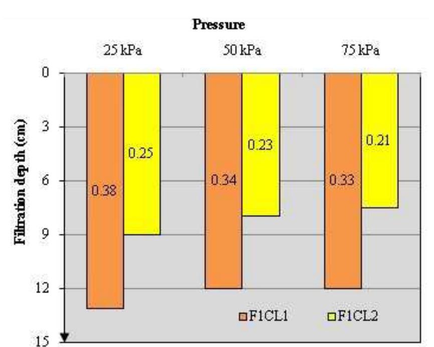 Evolution of the porosity and filtration depth with