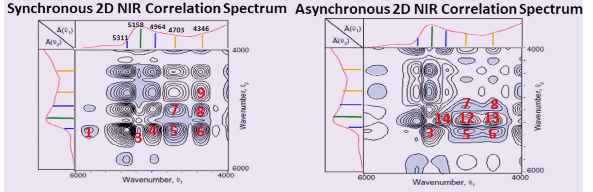 Synchronous and asynchronous 2dcos maps for the aging time