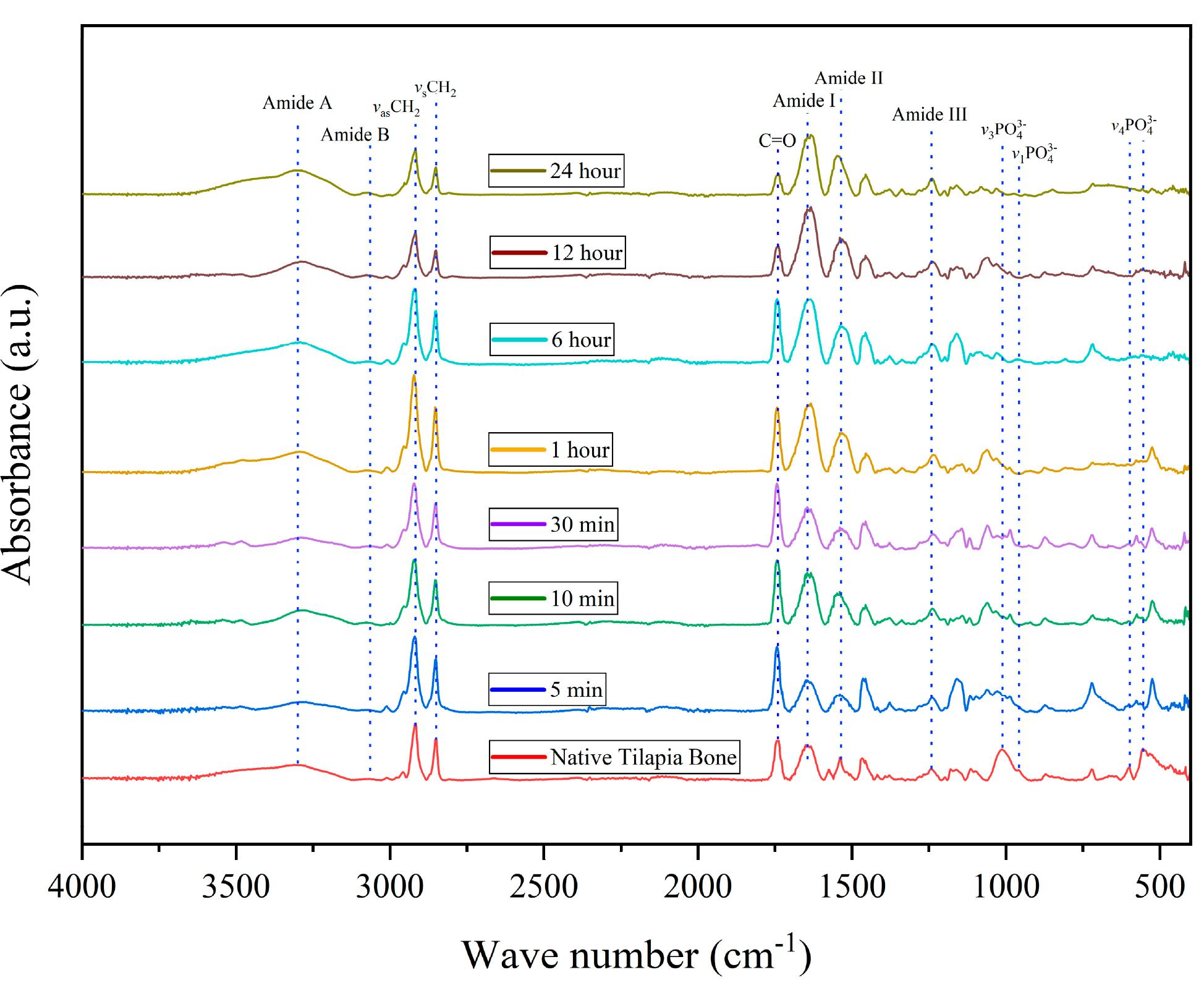 Atr-ftir spectra of the native and demineralized tilapia