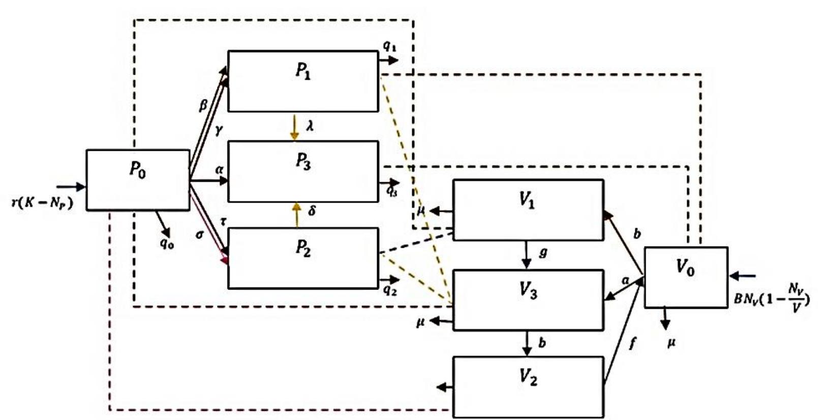 Schematic diagram of the model for the spread of tungro