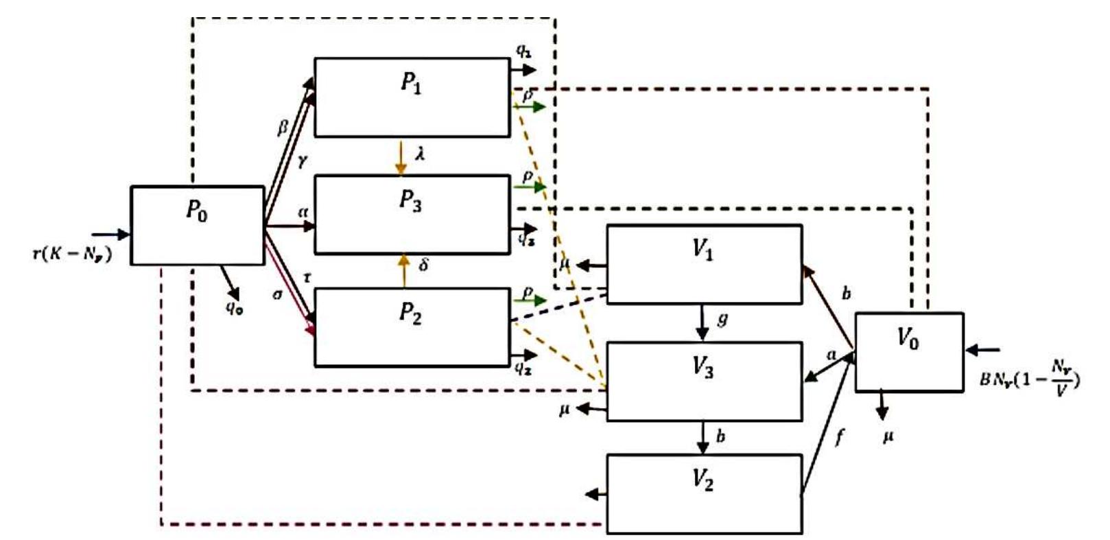 Schematic diagram of the model for the spread of tungro