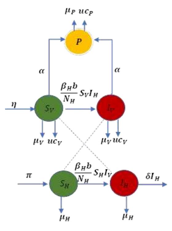 Schematic diagram of the spread of tungro disease in rice