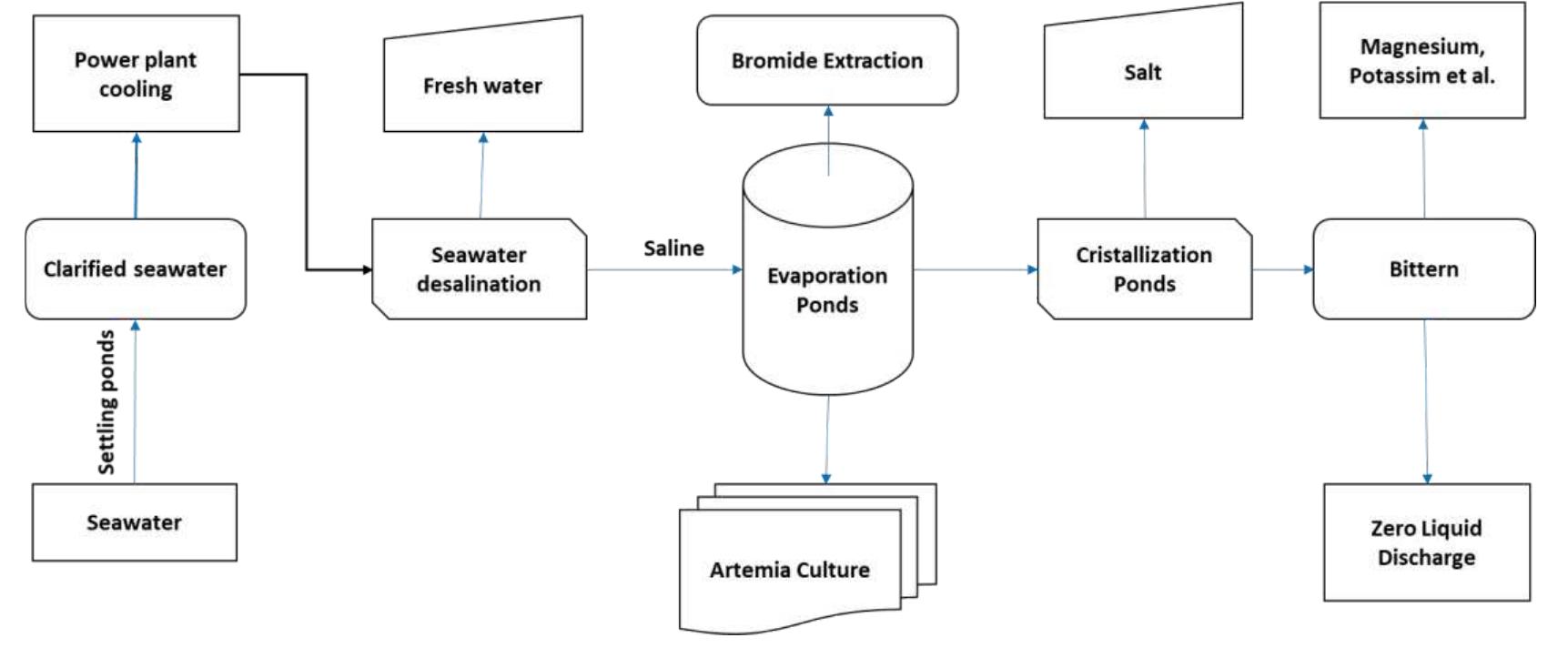The desalination process requires energy and different types