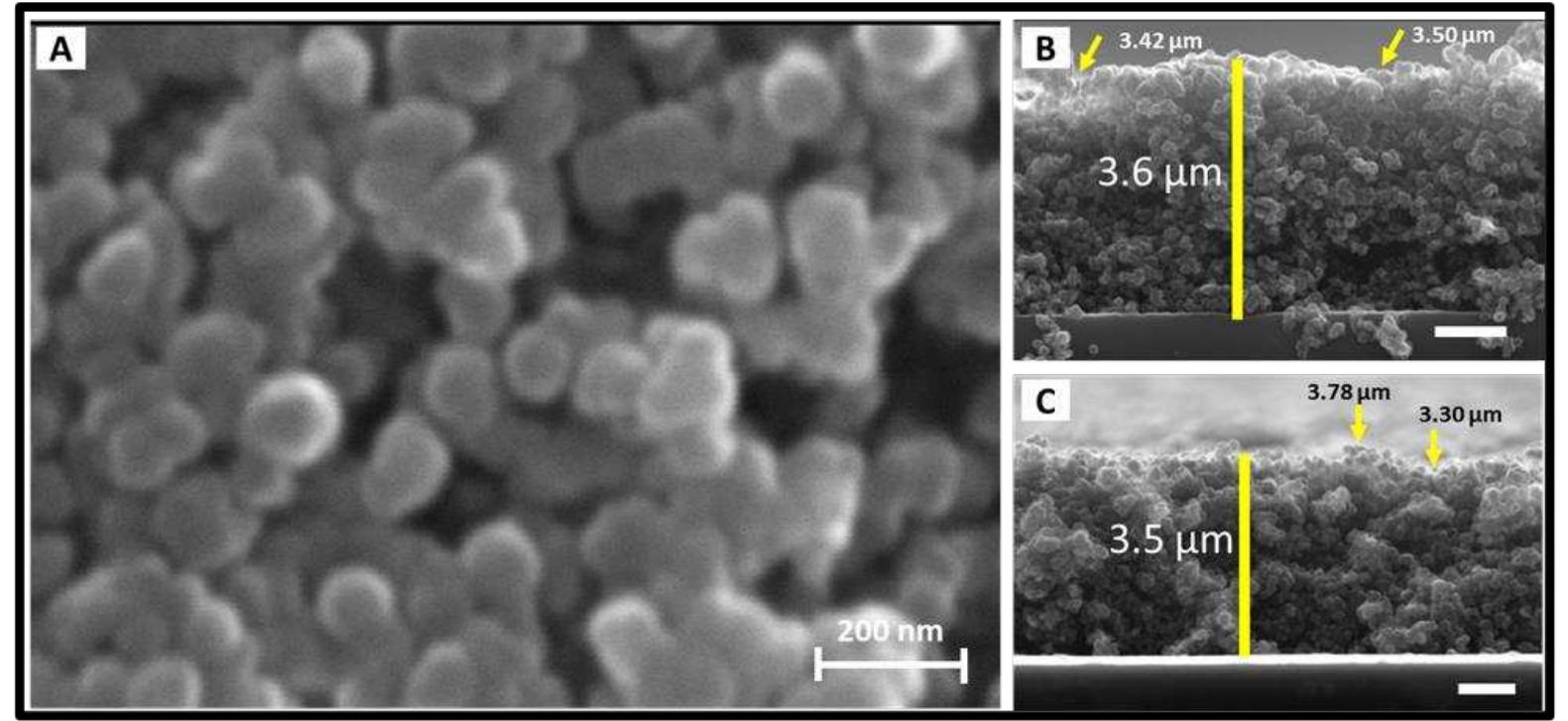 Sem images of c-2000 showing (a) porosity, (b,c) thickness.