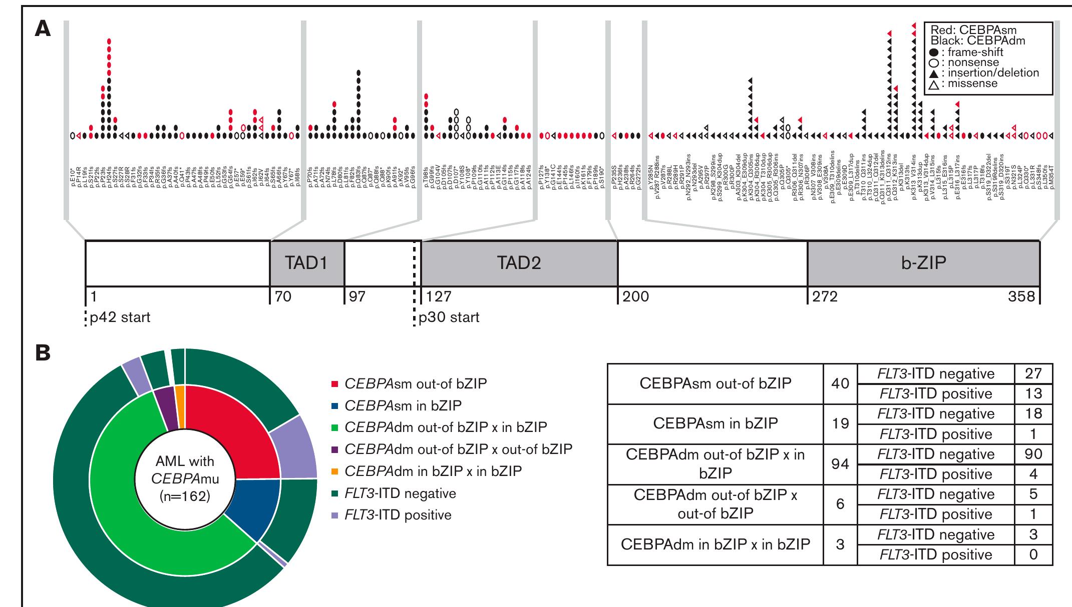 Figure 1 - from Prognostic impact of CEBPA bZIP domain