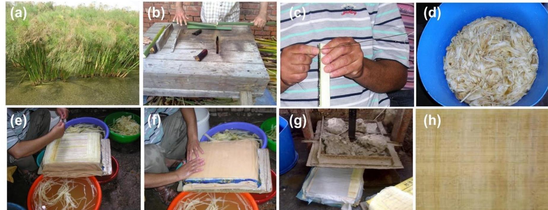 (PDF) Methods and Materials of Making Ancient and Modern Papyrus Sheets ...