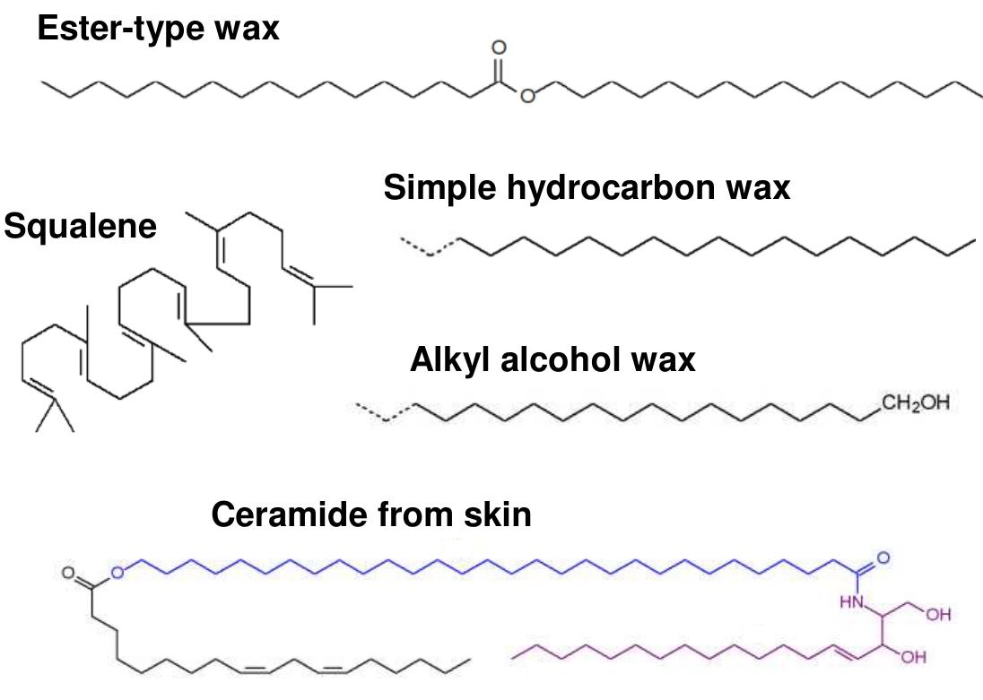 Chemical structures of typical wax components from natural
