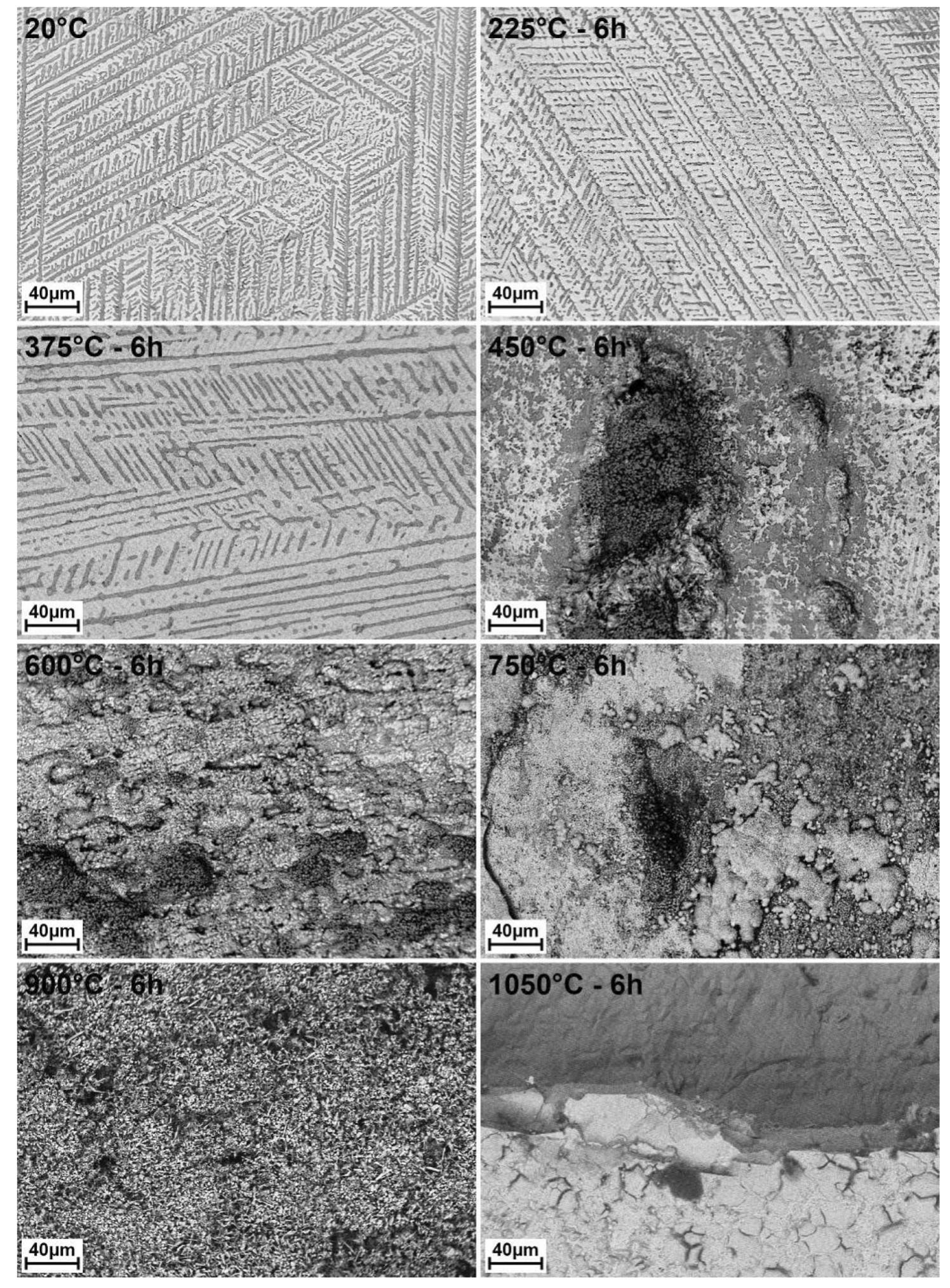 Surface oxide morphology of the sheets heated for 6 h at 20