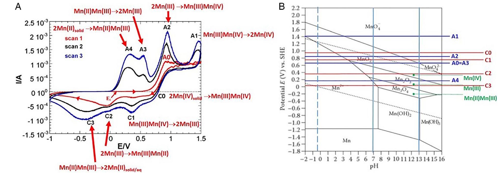 A) cyclic voltammetry (cv) for birnessite electrodeposition