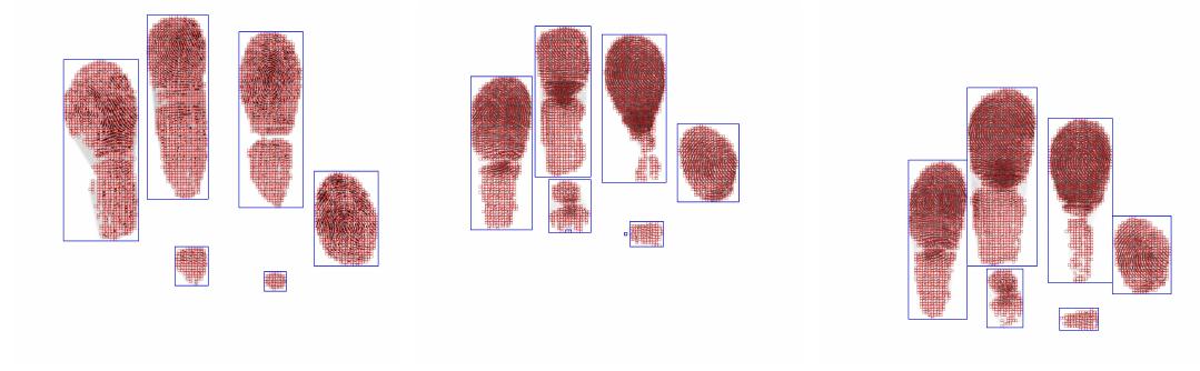 Figure 4 - Four Slap Fingerprint Segmentation