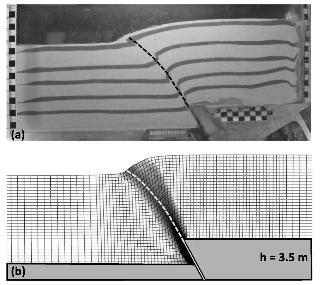 Soil model deformation during fault rupture in the free