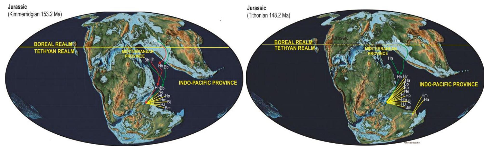 The jurassic paleobiogeographic map is modified after
