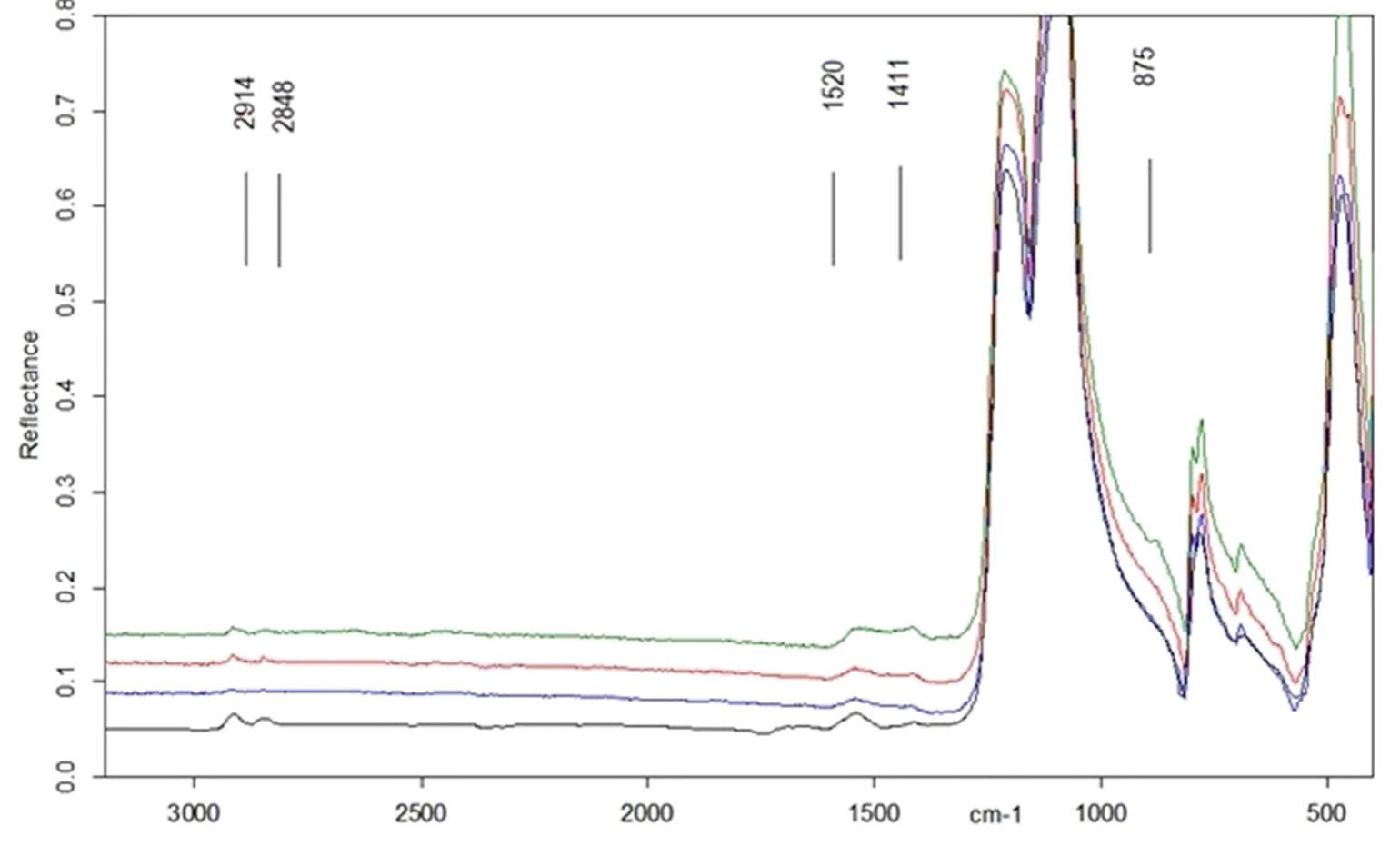 Micro ftir spectrum of dorsal and ventral points of a flake