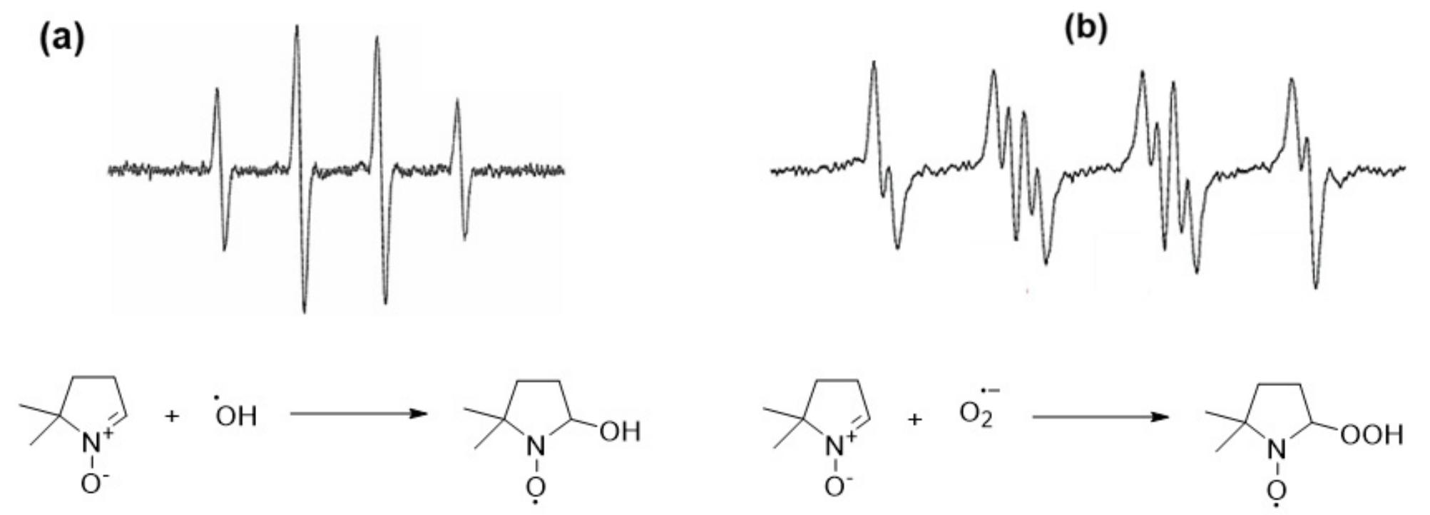 Epr spectra of the diamagnetic adduct formed after the