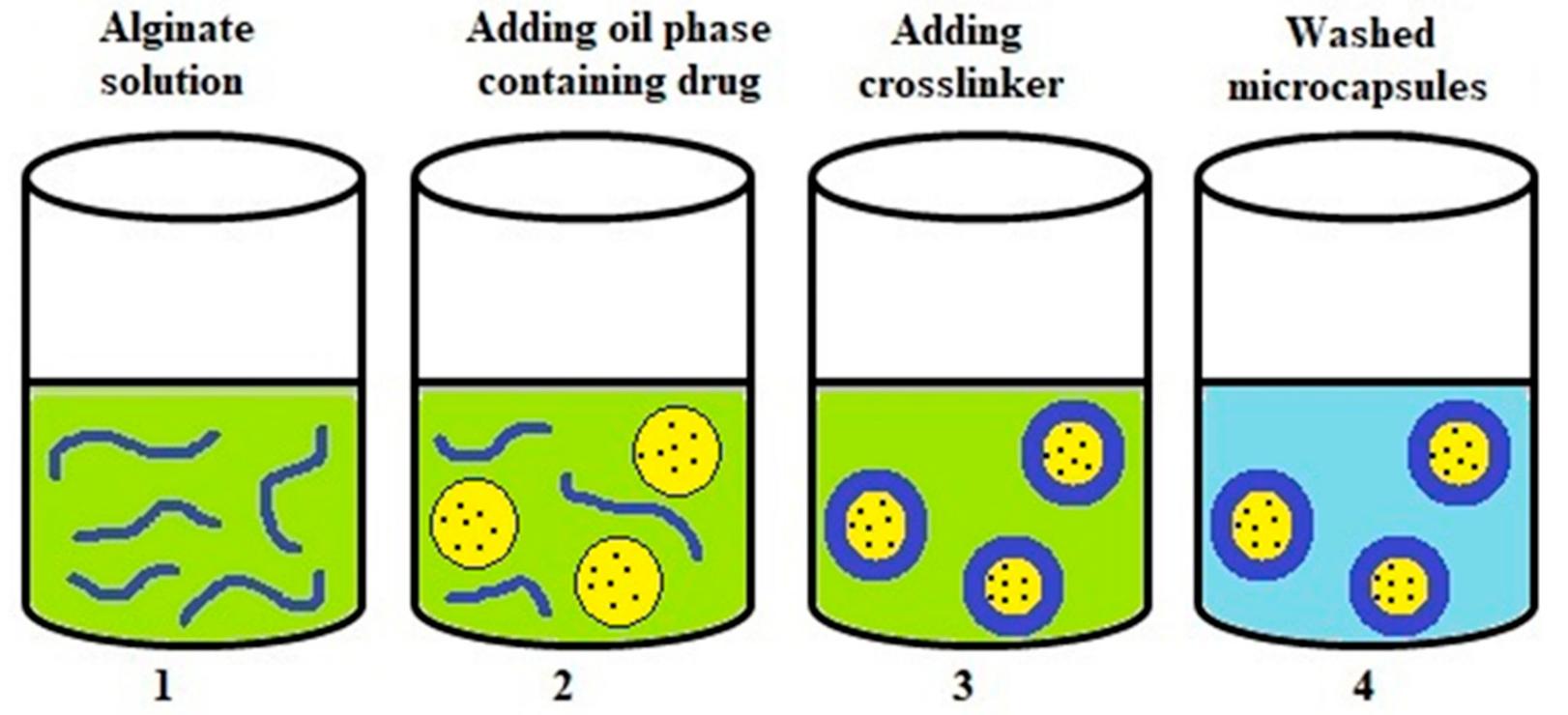 Schematic representation of microcapsule formation. 1.