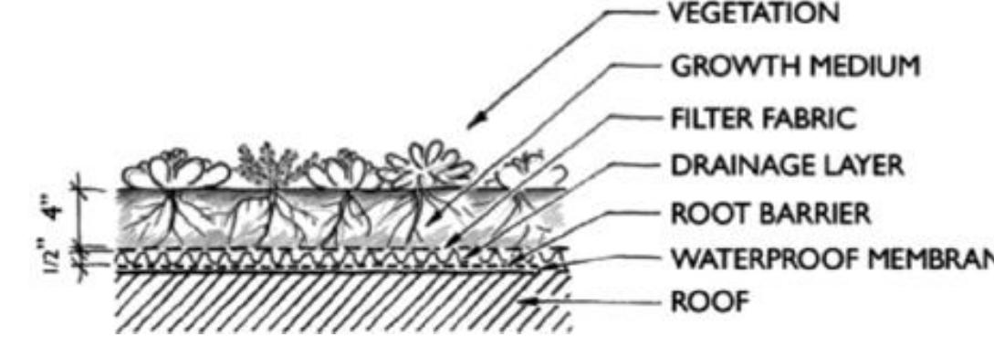 Cross section of an extensive green roof. (source: green