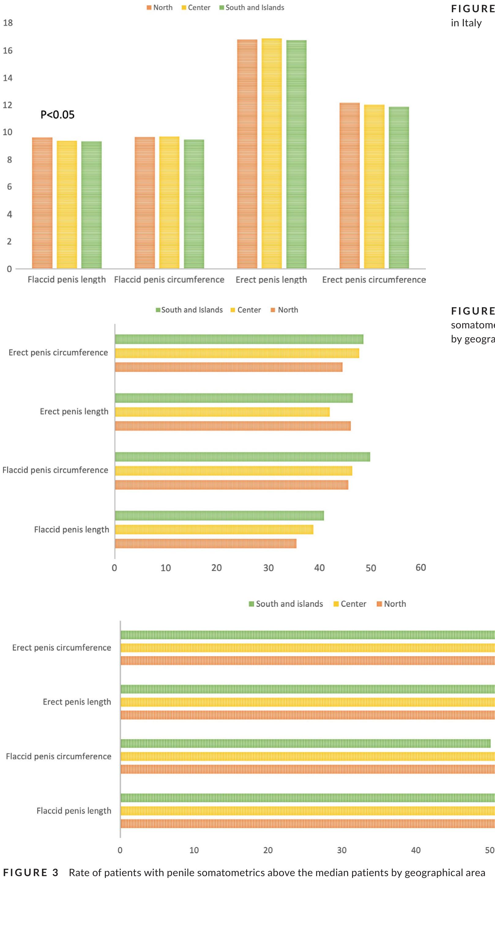 Figure 1 - Penile length and circumference dimensions: A