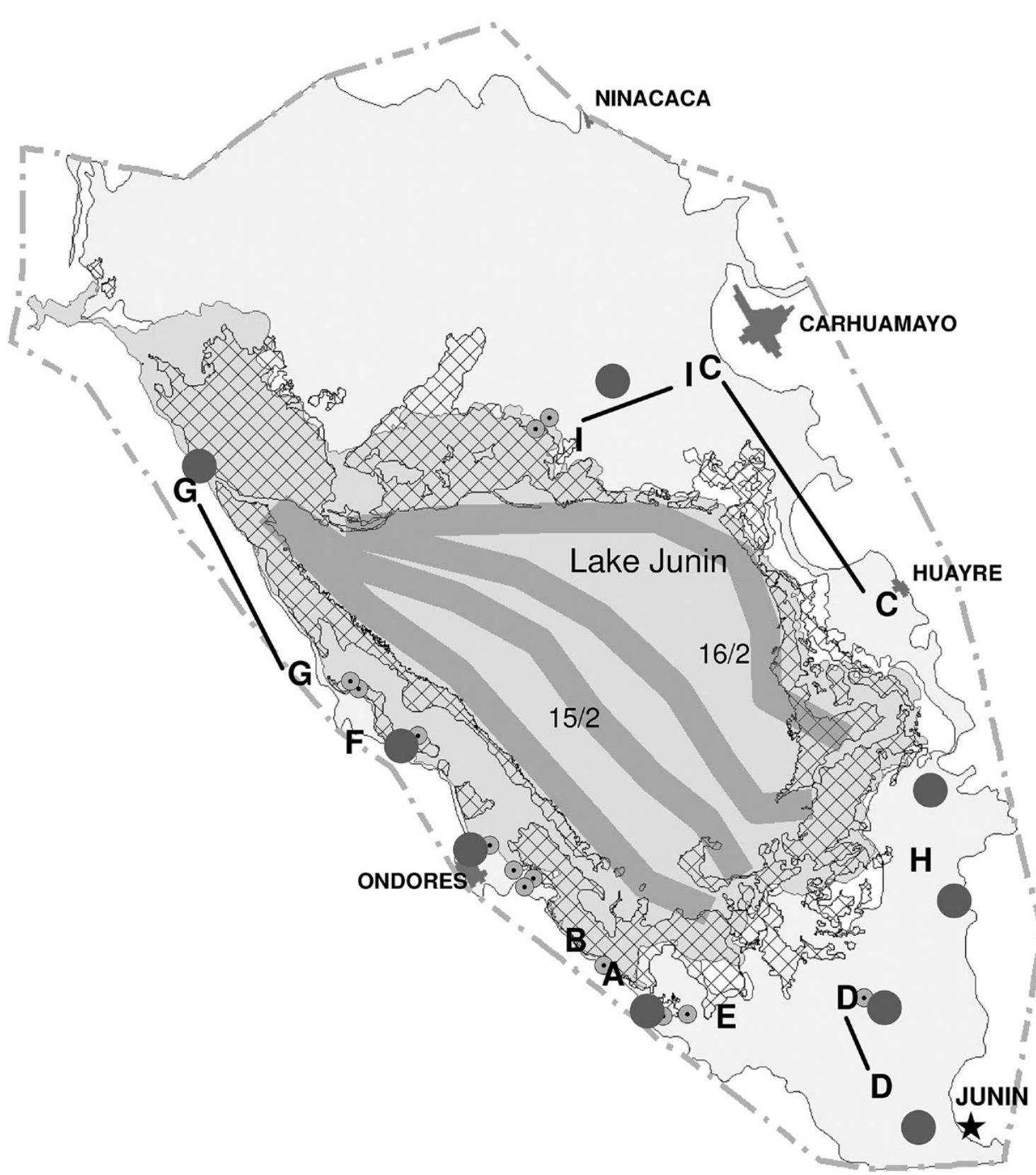 Map of lake junin, peru showing extension of lake and marsh