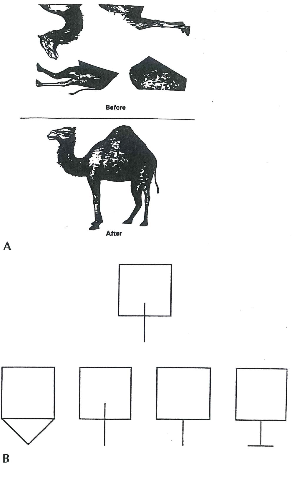 A: schematic representation of the object assembly task,